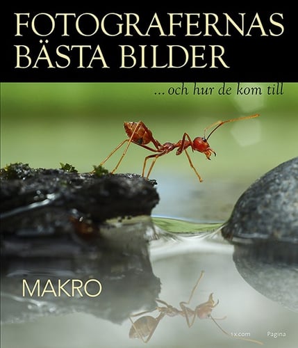 → Køb Fotografernas bästa bilder - Makroonline her – Dollarstore.dk